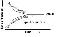 Equilibrium Definition, Characteristics Of Equilibrium - Transtutors